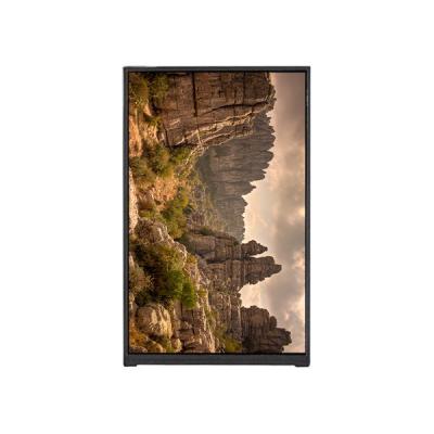 중국 BP096WX2-100 9.6인치 LCD 화면 LCD 디스플레이 모듈 패널 판매용