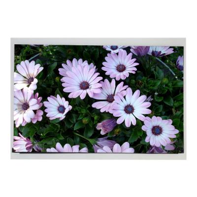 중국 LM300WQ7-SSA1 새로운 30.0 인치 2560 * 1600 LCD 화면 디스플레이 판매용