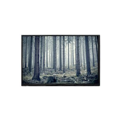 China BP101WX2-100-3QP0 10.1 inch LCD screen LCD Display for sale