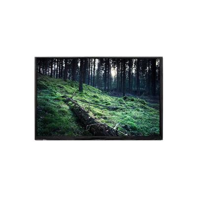China BP101WX4-300 10.1 inch LCD screen LCD Display for sale