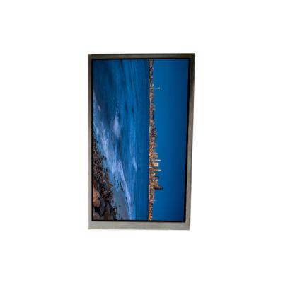 Cina BS052FHG-N30-6C00 Display LCD da 5,2 pollici in vendita