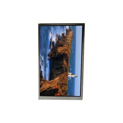 China BS052FHG-N40-6900 5.2 inch LCD Display  LCD screen PANEL for sale