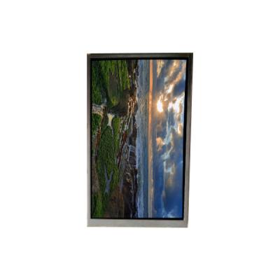 China BS053HDG-N50-6200 5.2 inch LCD Display LCD screen PANEL For Mobile Phone for sale