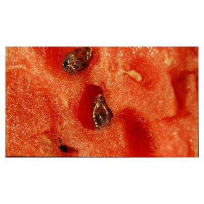 중국 LM315WR6-SSA1 32.0 인치 산업용 4K LCD 화면 판매용