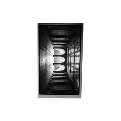 China BS055FHE-L30-6Q01 5.5 pulgadas pantalla LCD LCD PANEL para teléfono móvil en venta