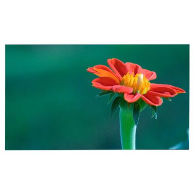 중국 Dell U3223QE용 LM315WR6-SSA2 LCD 디스플레이 IPS 판매용