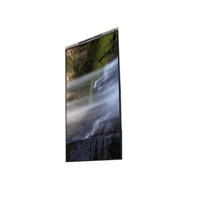 China BS055FHE-N30-6Q00 5.5 inch LCD Display LCD screen PANEL For Mobile Phone for sale