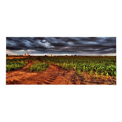 Cina LM340UW6-SSA3 Pannello LCD da 34,0 pollici 3440*1440 Display LCD in vendita