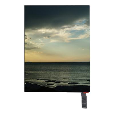 China LP079X01-SMAV 7.9 inch LCD Screen 768*1024 LCD Panel for sale