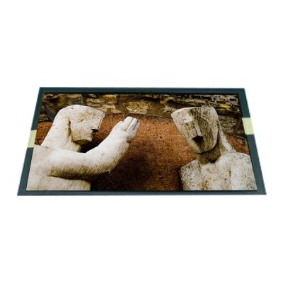 China LP089WS1-TLB1 8.9 inch LCD Display Module for LG for sale