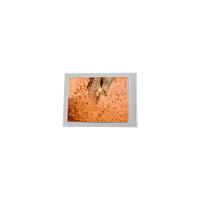 Cina 10.1 pollice LM64148Z 640*480 schermo LCD in vendita