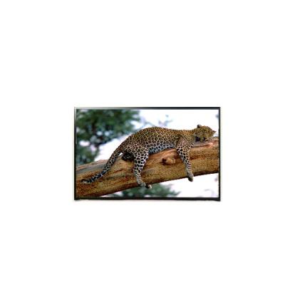 China LP141WP1-TLE6 14,1 pulgadas 60Hz Panel LCD 1440*900 Pantalla LCD en venta