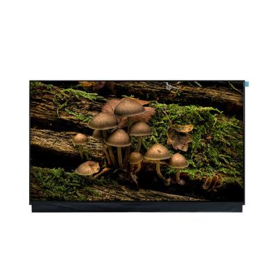 China Nuevo DV180FHM-N10 18.0 pulgadas 1920*1080 Pantalla LCD Pantalla de visualización en venta