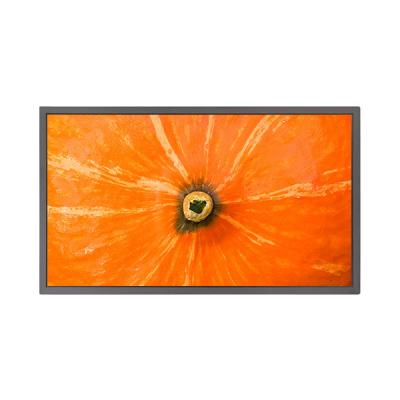 China DV185FHM-R00 18.5 pulgadas 1920*1080 Pantalla de pantalla LCD para BOE en venta