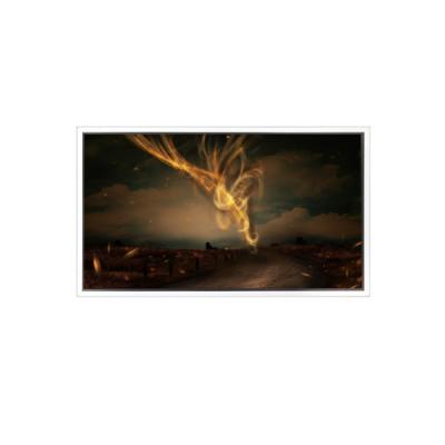 China 28.0 inch 1920*2160 DV279SVB-NV0 LCD Screen FOR Video Wall Te koop