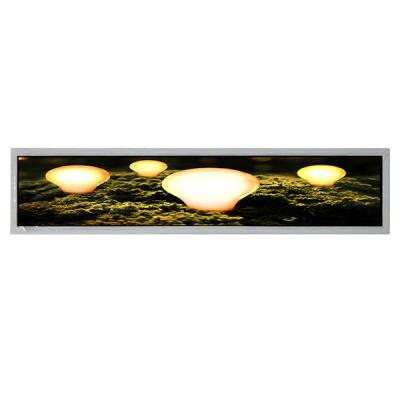 China 28.6 pulgadas 1920*560 DV286FBB-NV0 Pantalla LCD para señalización digital en venta