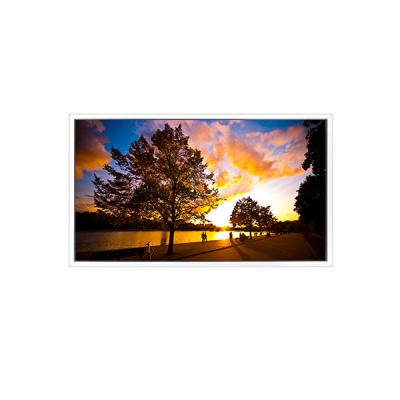 China 32.0 pulgadas 1920*1080 DV320FHB-NV0 Pantalla de pantalla LCD para BOE en venta