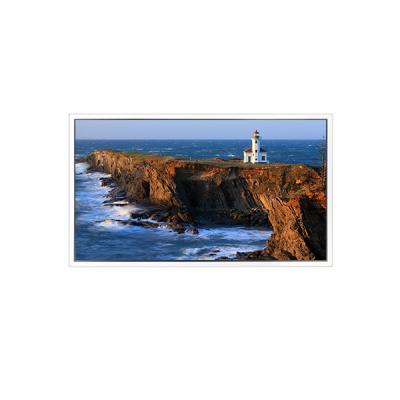 China 49 inch 1920*1080 DV490FHB-NV1 LCD-scherm voor videomuur Te koop