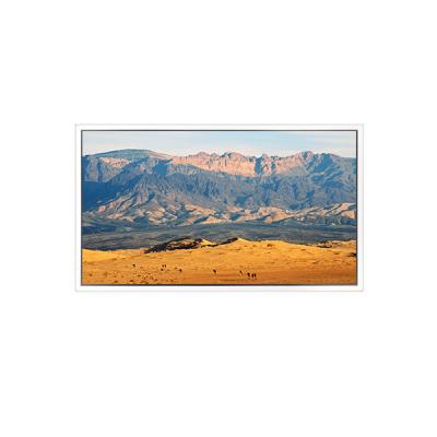 China Pantalla LCD de 49 pulgadas 3840*2160 DV490QUB-N8A para señalización digital en venta