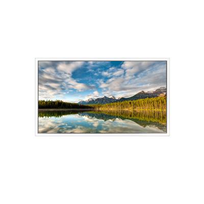 China Pantalla LCD de 55 pulgadas DV550FHB-N30 1920*1080 para pantalla transparente en venta