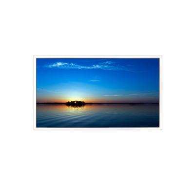 China 55 inch DV550FHM-NV0 1920*1080 60Hz 1200: 1 WLED LCD-scherm Te koop