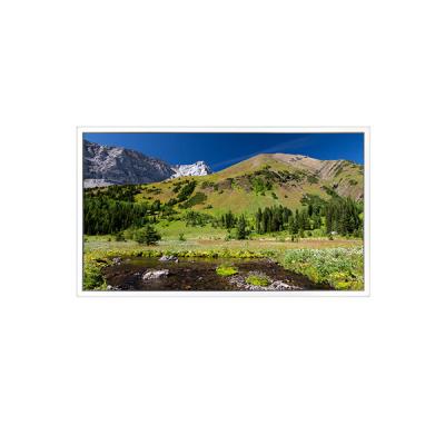 China DV550QUB-N20 3840*2160 Pantalla LCD de 55 pulgadas para señalización digital en venta