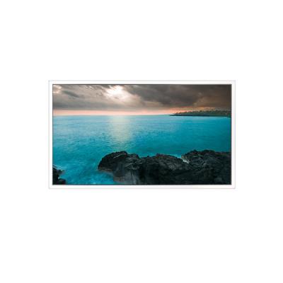 China Display de pantalla LCD de 65 pulgadas 3840*2160 DV650QUM-N00 60Hz para el BOE en venta