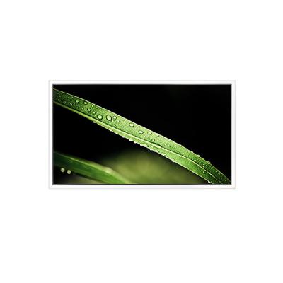 China 3840*2160 65 inch DV650QUM-NV0 500 cd/m2 LCD-scherm voor videomuur Te koop