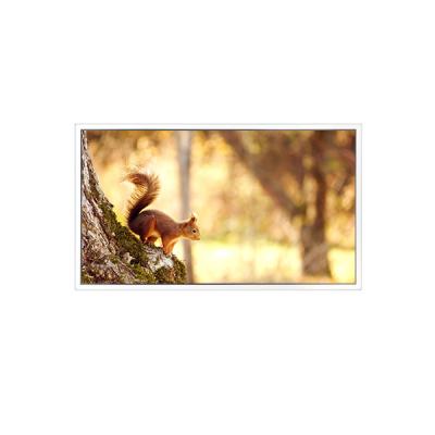 China Neuer EV156FHB-N12-2HP0 1920*1080 15,6 Zoll LCD-Bildschirm FÜR Industrie zu verkaufen