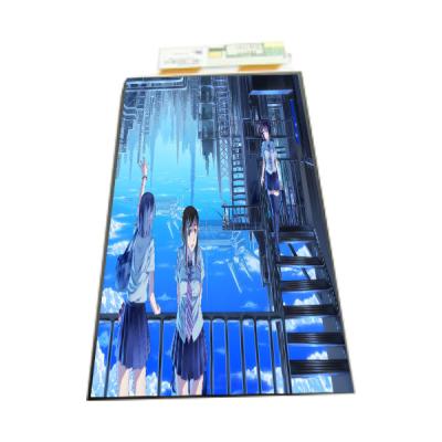Κίνα LD070WX5-SM01 ΝΕΟ 7,0 ιντσών 400 cd/m2 LCD οθόνη προς πώληση