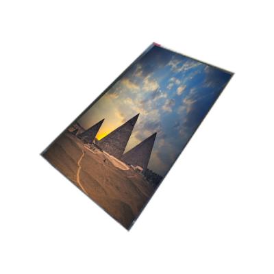 China LH600WF1-SH01 6.0 inch LTPS TFT-LCD Panel Screen for Mobile Phone for sale