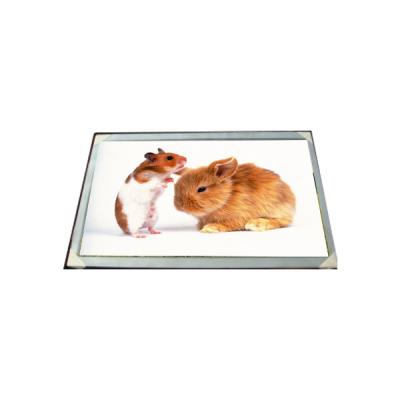 Cina LM170E03-TLG6 Modulo LCD da 17,0 pollici in vendita