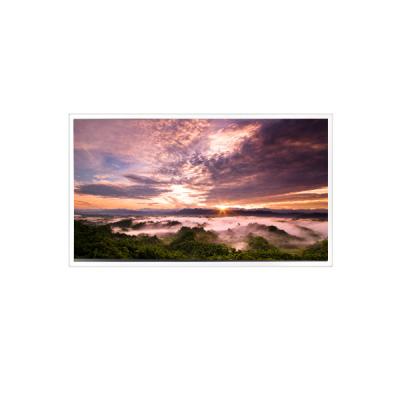 China 18.5 inch QV185FHM-N80 1920*1080 LCD Panel for Industrial for sale
