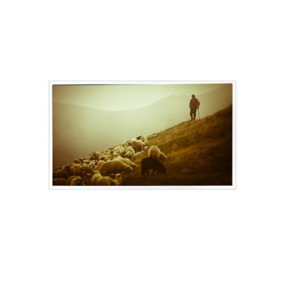 Китай QV140FHM-N48 14,0 дюйма 1920*1080 800:1 60Hz eDP 30 пин LCD экран продается