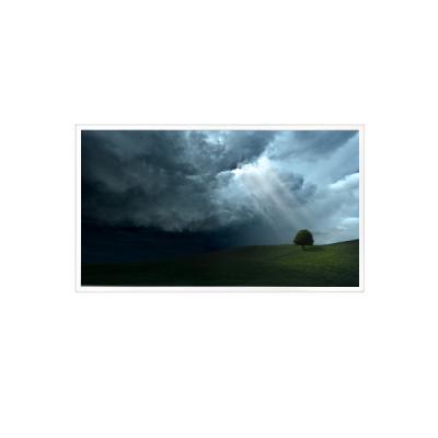 中国 21.5インチ 1920*1080 QV215FHB-N10 16.7M 75%NTSC LCDスクリーン 産業用 販売のため