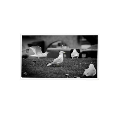 China 1200*1920 QV080WUM-N40 8.0 polegadas LCD Panel Display para Pad Tablet à venda