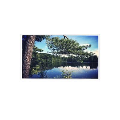 China 1024*768 15,0 polegadas TDA150-002 LVDS à venda