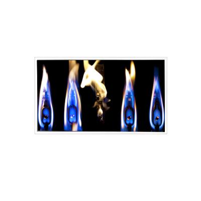 China TDA190-001V02 1280*1024 19,0 pulgadas 800 cd/m2 LCD para alta luminosidad al aire libre en venta