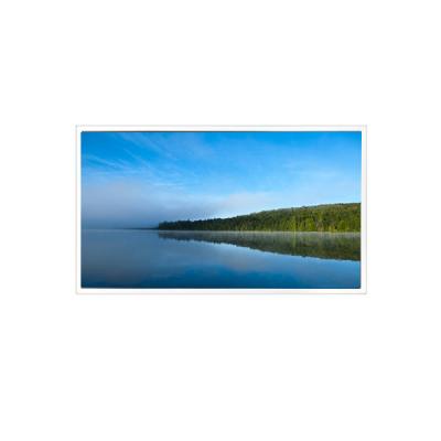 China 15.0 pulgadas TDA150-004 1024*768 300 cd/m2 WLED Panel LCD Monitor en venta