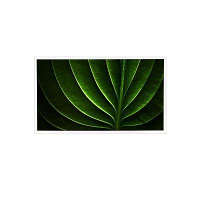 China TAD201-001 20,1 pulgadas 1600*1200 450 cd/m2 Pantalla LCD de 60 Hz para el sector industrial en venta