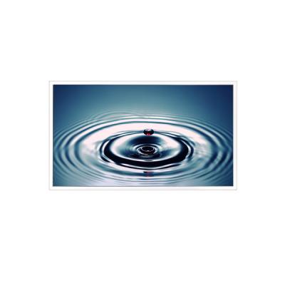 China RV088Y4G-N00 768*768 8,8 pulgadas 1100:1 Pantalla LCD para el sector industrial en venta