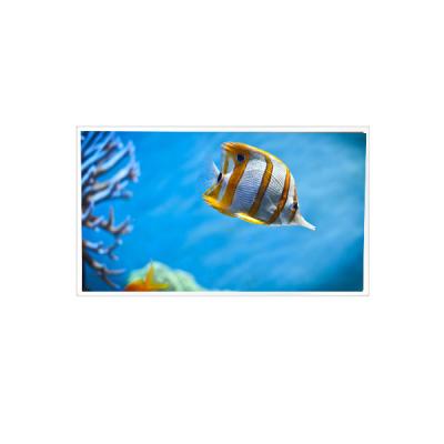 China 7.1 pulgadas RV071Y4G-N00 768*768 Pantalla LCD para el sector industrial en venta