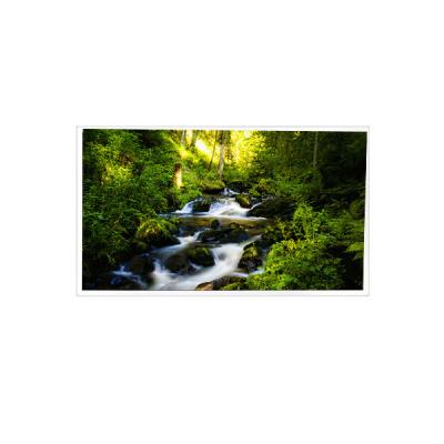 China RV042Z6G-N00 4,2 pulgadas 480*480 Pantalla LCD para PDA de mano en venta