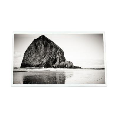 China 15.6 pulgadas 1920*1080 PT156FHM-N41 eDP 30 pines Pantalla de pantalla LCD en venta