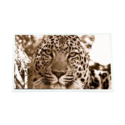 China 7.0 pulgadas GT070WVM-N12 800*480 WLED 600:1 módulo de panel LCD en venta