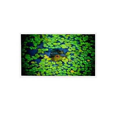 China 1920*1080 QV215FHB-N51 Pantalla LCD de 21,5 pulgadas para el sector industrial en venta