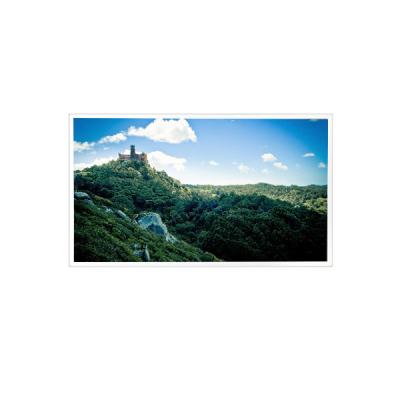 China 10.4 pulgadas 1024*768 RV104X0M-N01 900 cd/m2 Pantalla LCD en venta