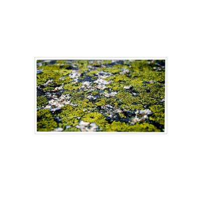 China 10.4 pulgadas RV104X0M-N00 1024*768 Pantalla LCD para el sector industrial en venta