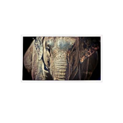 China VL-FS-7HD 1280*768 Pantalla LCD de 7,0 pulgadas para pantallas de automóviles en venta