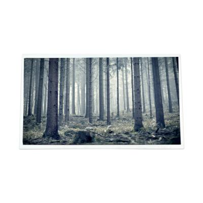 China 15.0 pulgadas 1024*768 G150XJE-E03 eDP 30 pines pantalla LCD WLED en venta